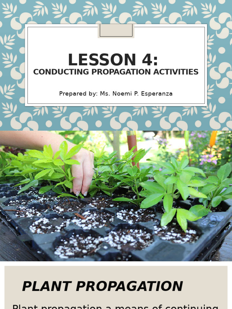 Natural Root Propagation Methods | PDF | Grafting | Plant Reproduction