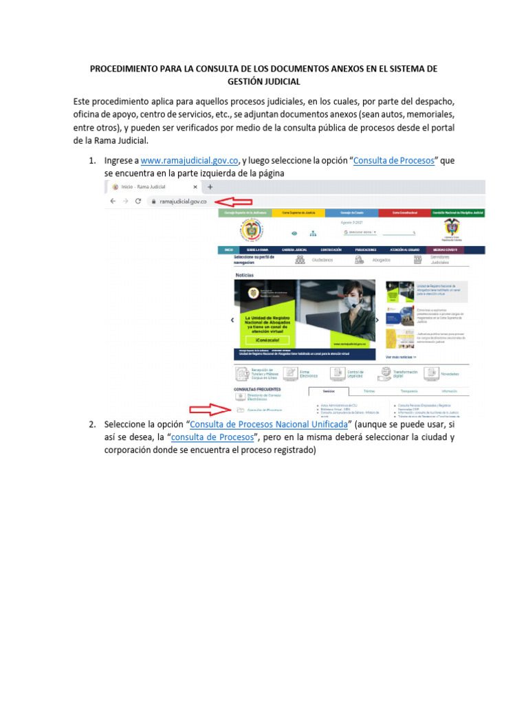 Procedimiento Consulta Documentos Anexos | PDF | Software | Informática