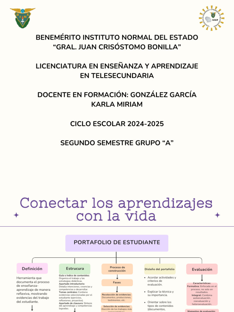 Organizador Gráfico Portafolio | PDF | Evaluación | Aprendizaje