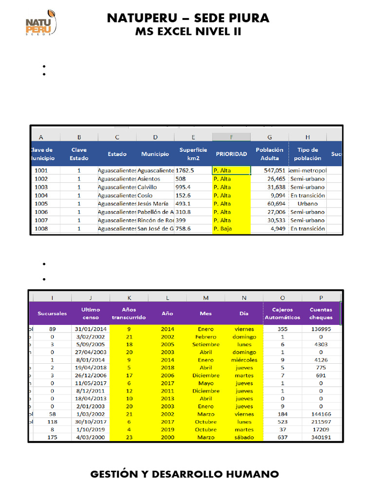 Instructivo MS Excel Nivel Intermedio. | PDF