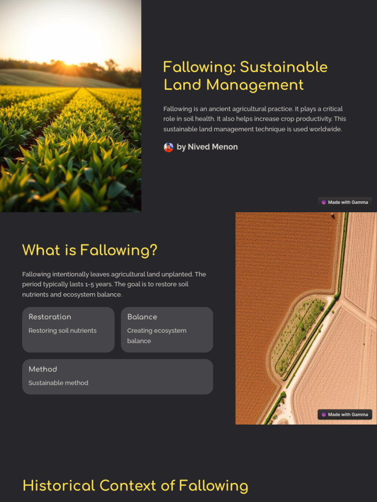 Fallowing Deck - Nived Menon | PDF