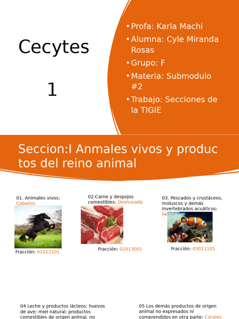 TIGIE | PDF | Textiles | Papel