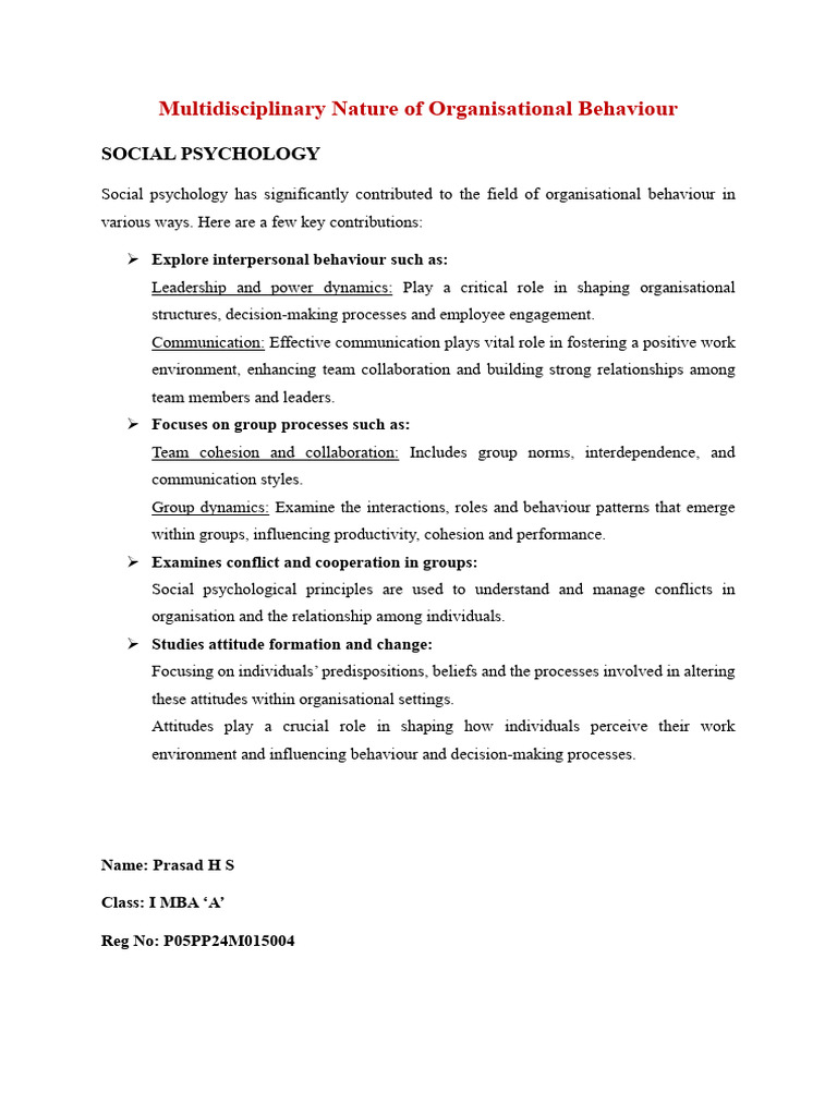 Organisational Behaviour Assignment (Social Psychology) | PDF