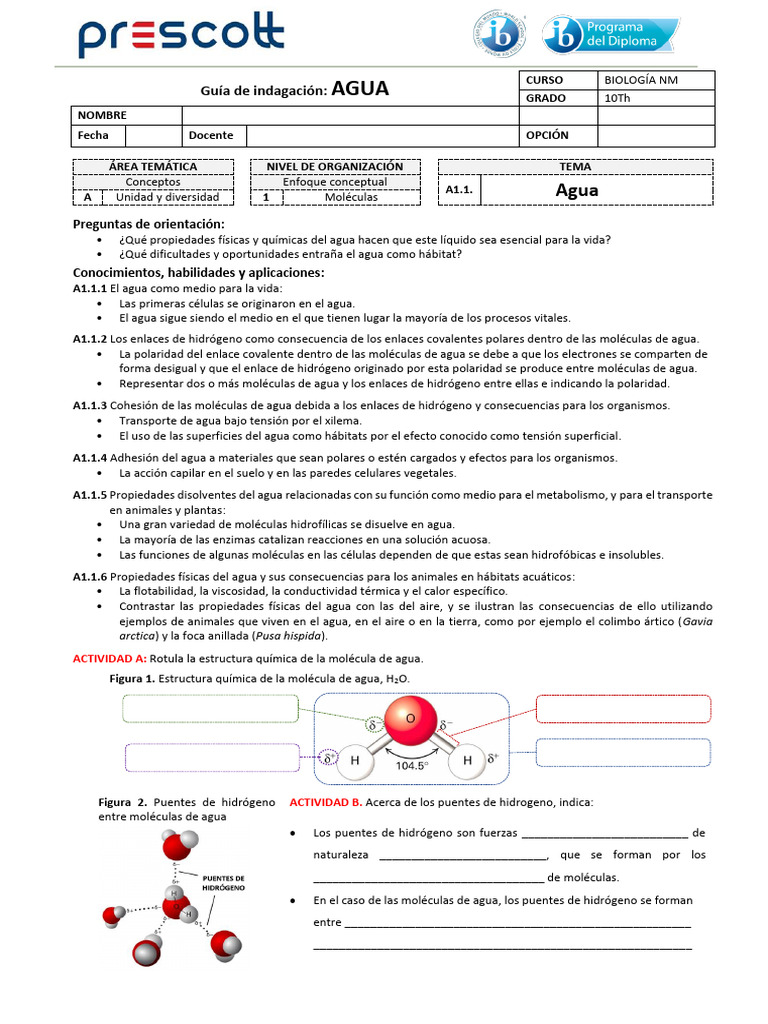A1.1 Guia de Indagación AGUA | PDF | Polaridad química | Propiedades del agua