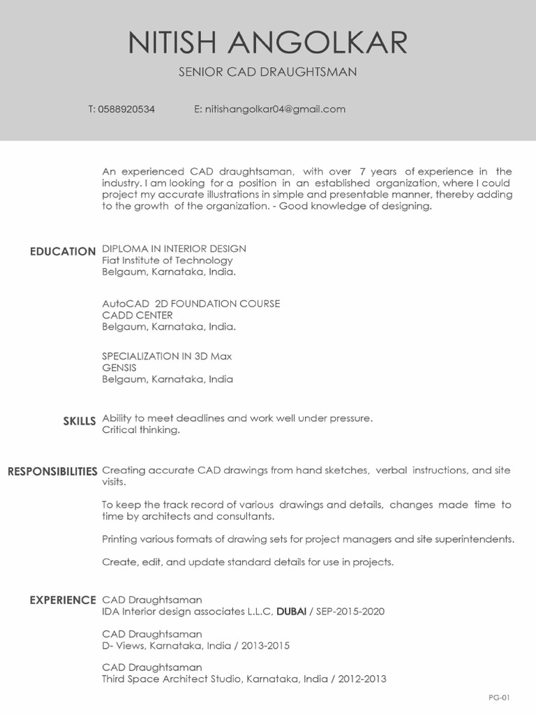 Resume Nitish Angolkar | PDF