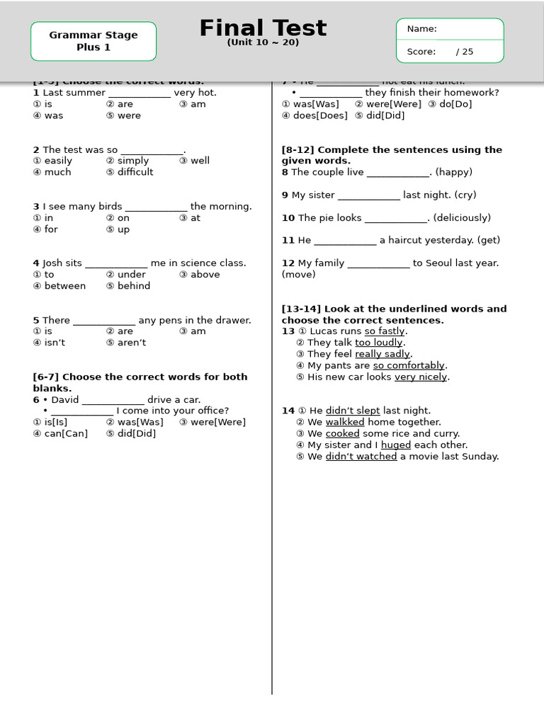 Grammar Stage Plus 1 Practice Test | PDF