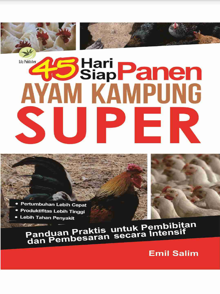 45 Hari Siap Panen Ayam Kampung Super | PDF