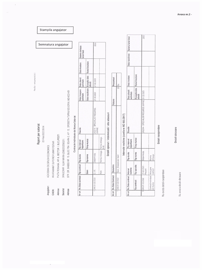 Anexa Model - Raport REVISAL | PDF