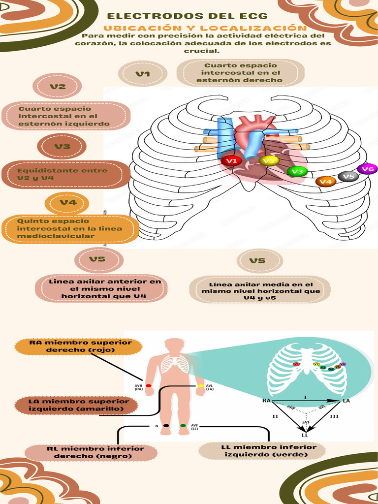 Brown Cute Abstract Aesthetic Chronology Timeline Infographic | PDF