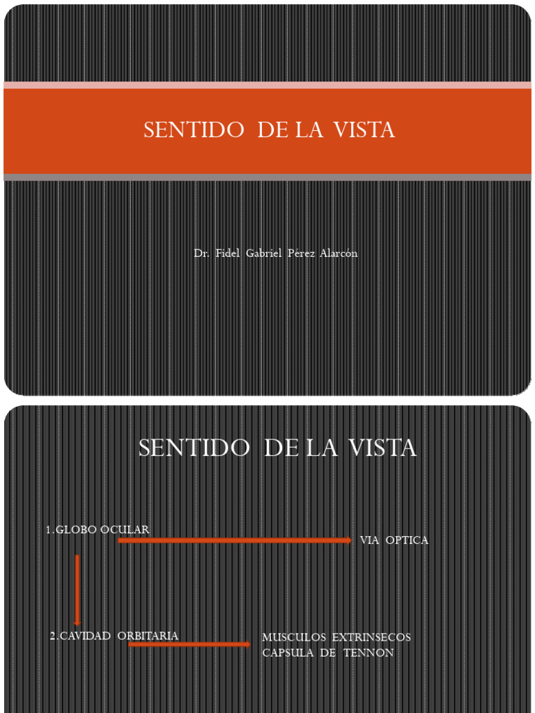 Anatomía del Globo Ocular y Visión | PDF