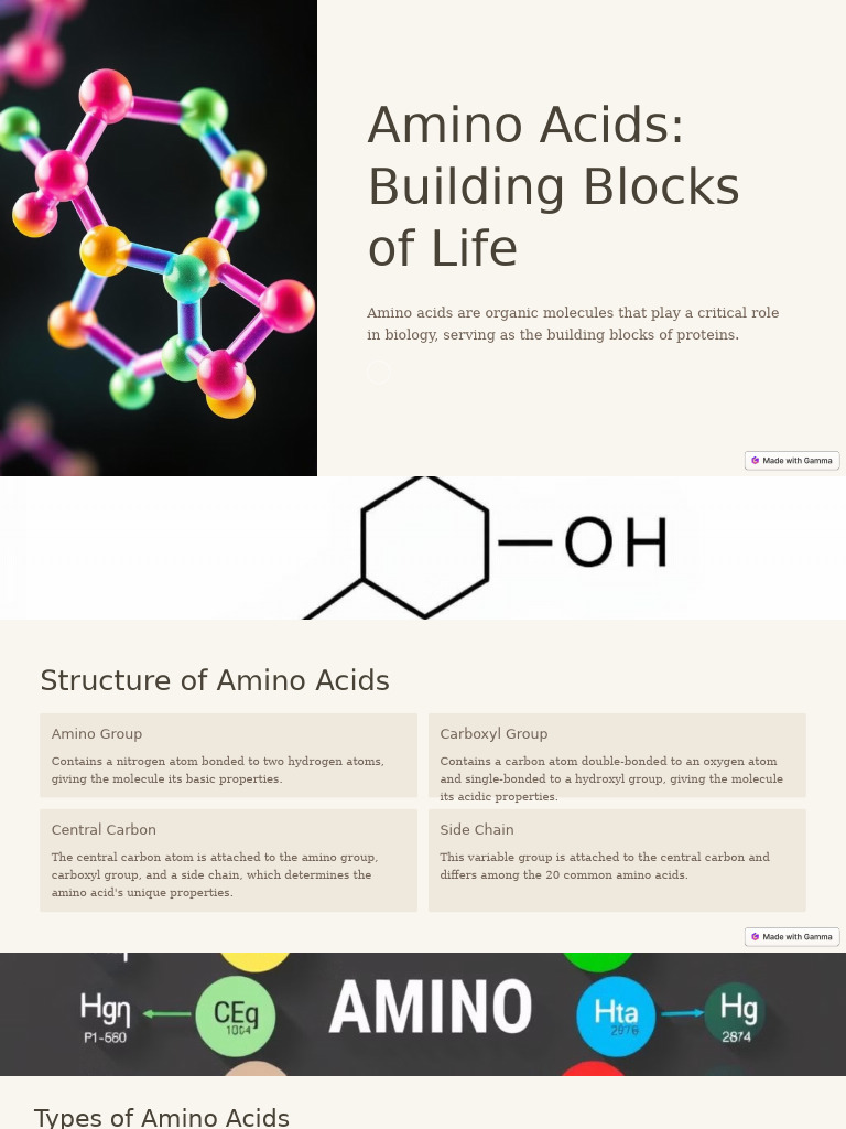Amino Acids Building Blocks of Life | PDF | Amino Acid | Proteins