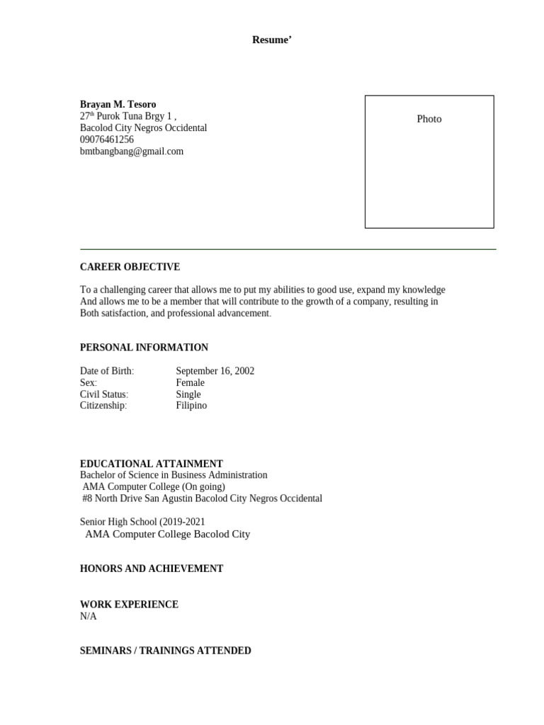 Curriculum Vitae BRAYAN | PDF