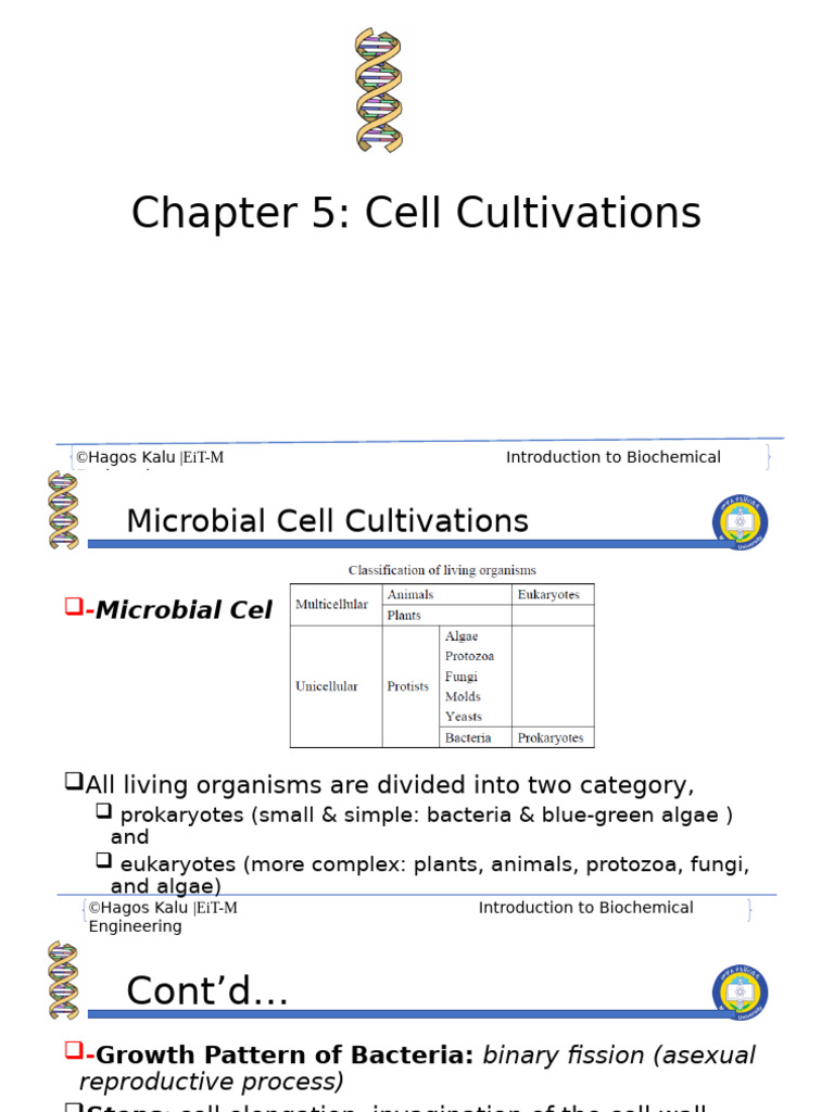 Microbial Cell Cultivation Techniques | PDF | Microorganism | Yeast
