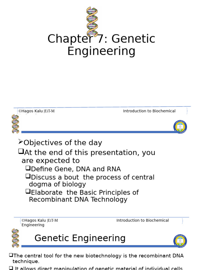 Chapter 7_Genetic Engineering | PDF | Molecular Cloning | Messenger Rna