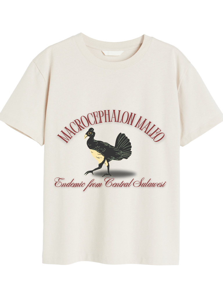 Maleo Bird - 20250305 - 142257 - 0000 | PDF