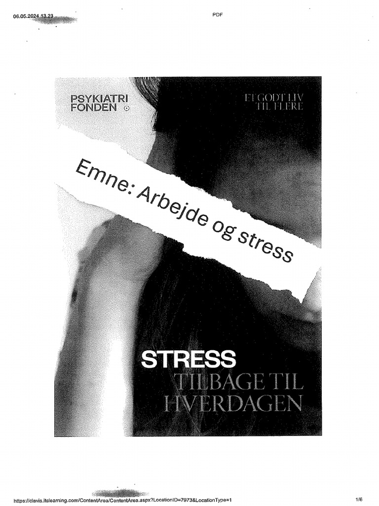 Emne - Arbejde Og Stress | PDF