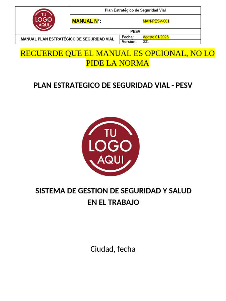 Manual Pesv | PDF | Seguridad vial | Tráfico