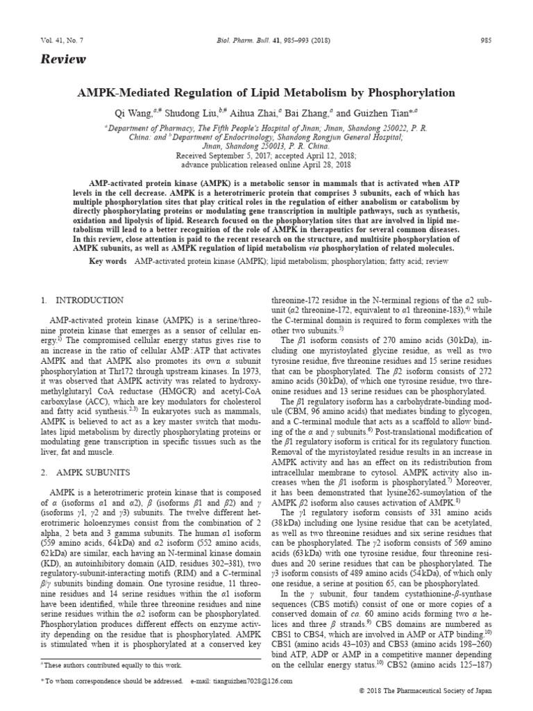 AMPK's Role in Lipid Metabolism Regulation | PDF | Kinase | Amino Acid