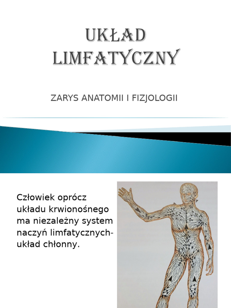 Anatomia Ukł. Limf | PDF