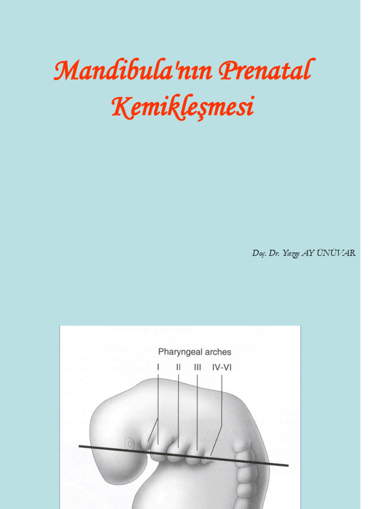 Ders 6 Orto yeniPDF - 250407 - 092754 | PDF