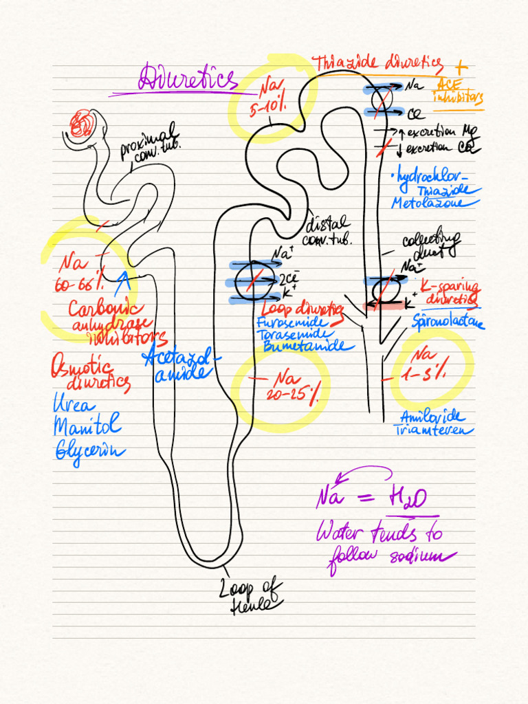 Clinical Pharmacology Hypotensive, Diuretics | PDF