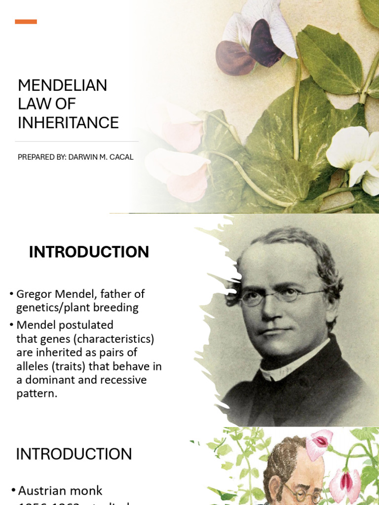 Mendelian Law of Inheritance | PDF | Dominance (Genetics) | Zygosity