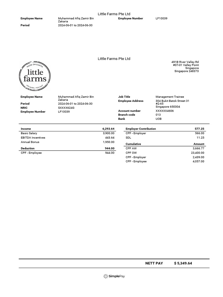 June Payslip 2024 | PDF | Employee Relations | Employment Compensation