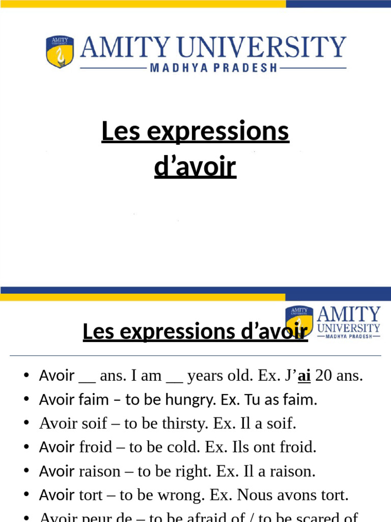 Expressions avec "avoir" en français | PDF