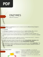 Pogil - 6 Enzymes and Cellular Regulation | PDF | Enzyme | Polymerase ...