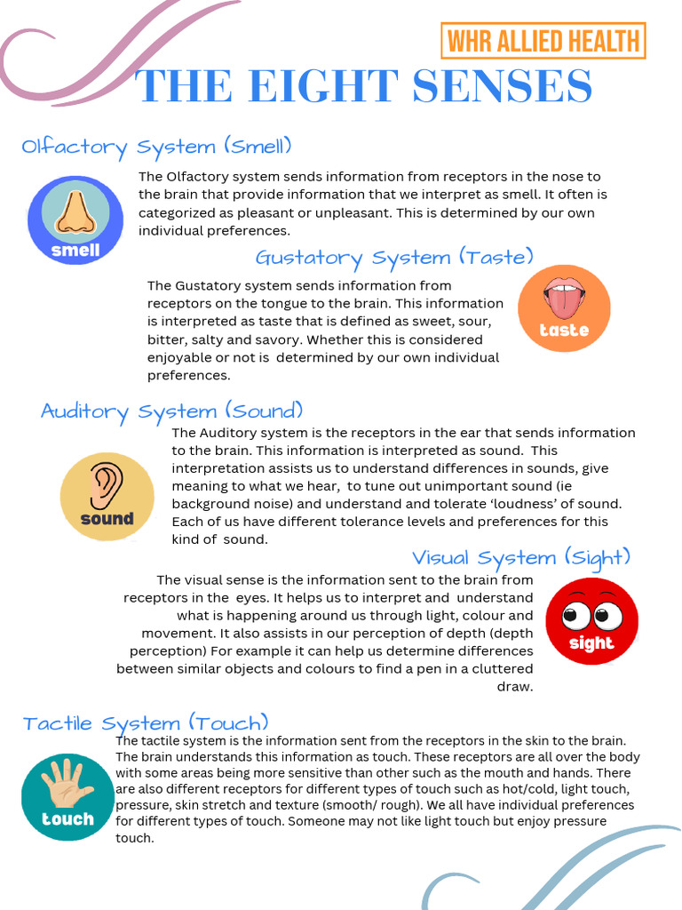 Parent Pack The 8 Senses | PDF | Taste | Senses