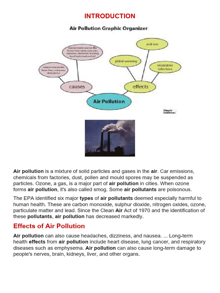 Understanding Air Pollution Causes & Effects | PDF