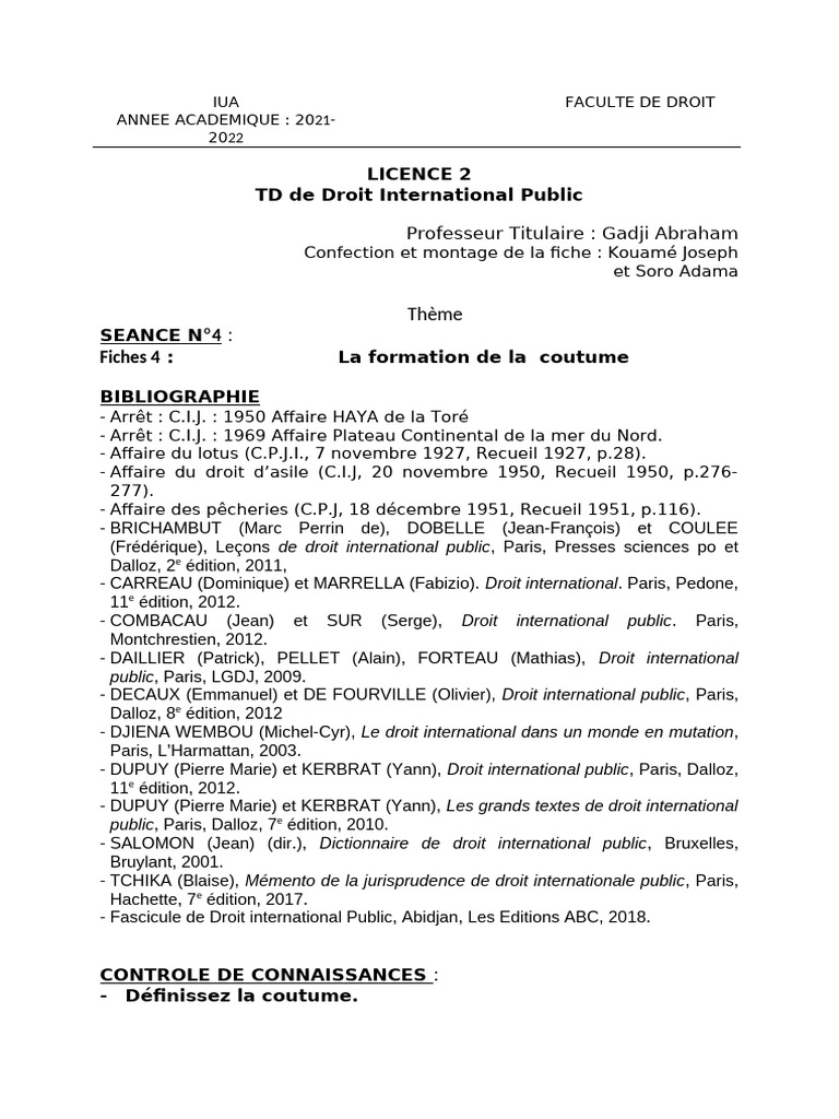 Formation de la coutume en droit international | PDF | Droit politique ...