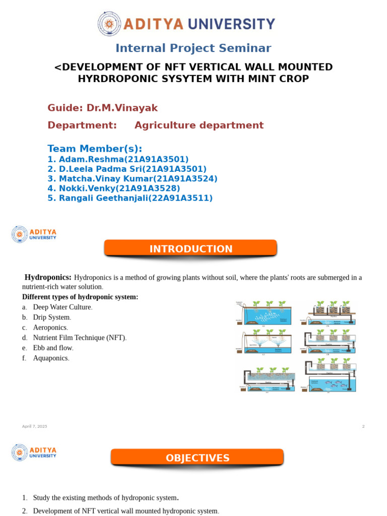 Project Presentation - Format-2 | PDF