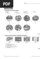 Beehive Tests Level 3 Unit Test 3 | PDF