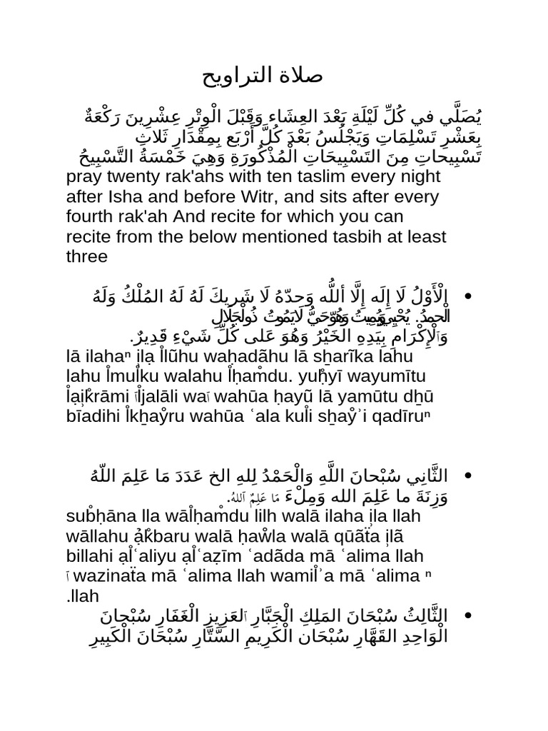 Rakib Portrait | PDF