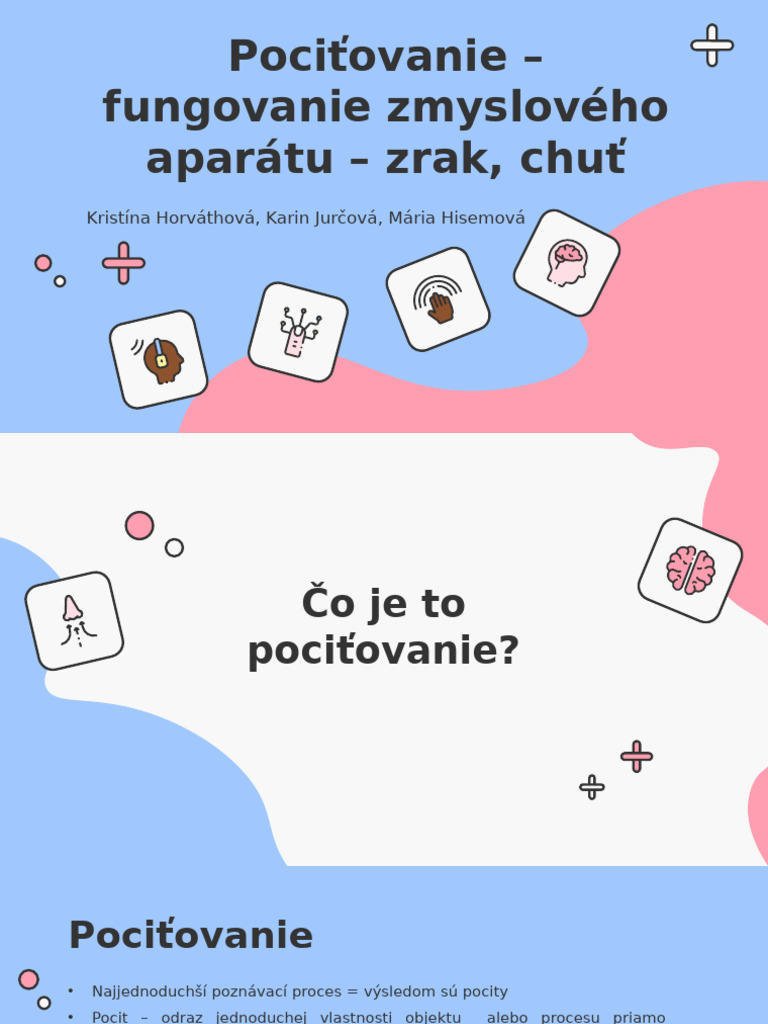 Kognitívna Psychológia | PDF