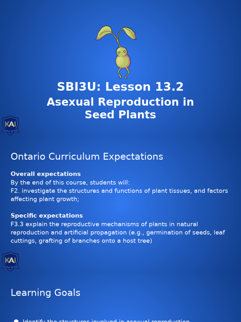 SBI3U Lesson 13.2 Asexual Reproduction in Seed Plants | PDF | Reproduction | Plant Reproduction