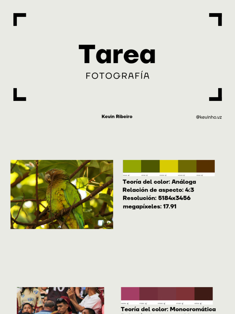 Teoría Del Color - Kevin Ribeiro | PDF