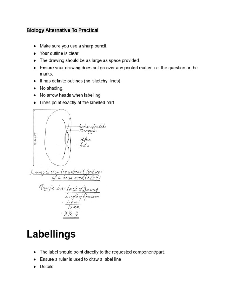 Biology Alternative To Practical | PDF | Cellular Respiration | Glucose