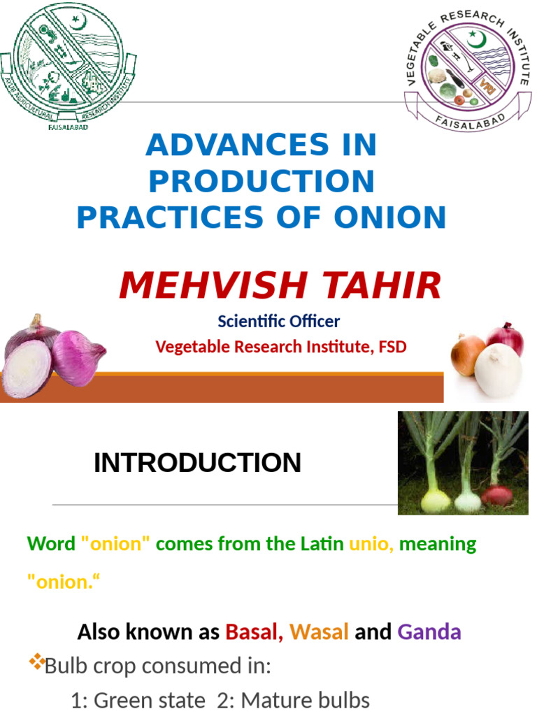 Onion Farming Practices in Pakistan | PDF | Plant Nursery | Onion