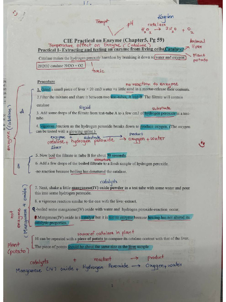 Paper 6 Food Test Practical | PDF