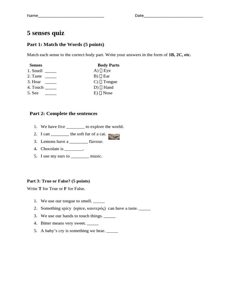5 Senses Quiz for Kids | PDF