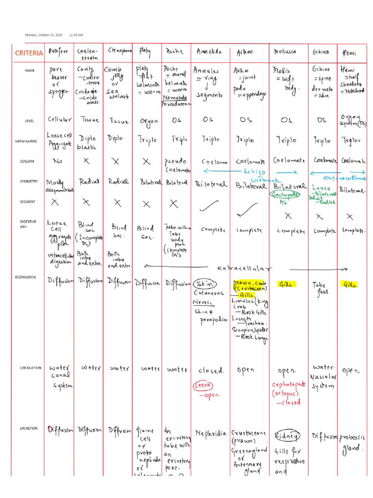 Animal Kingdom Chart | PDF