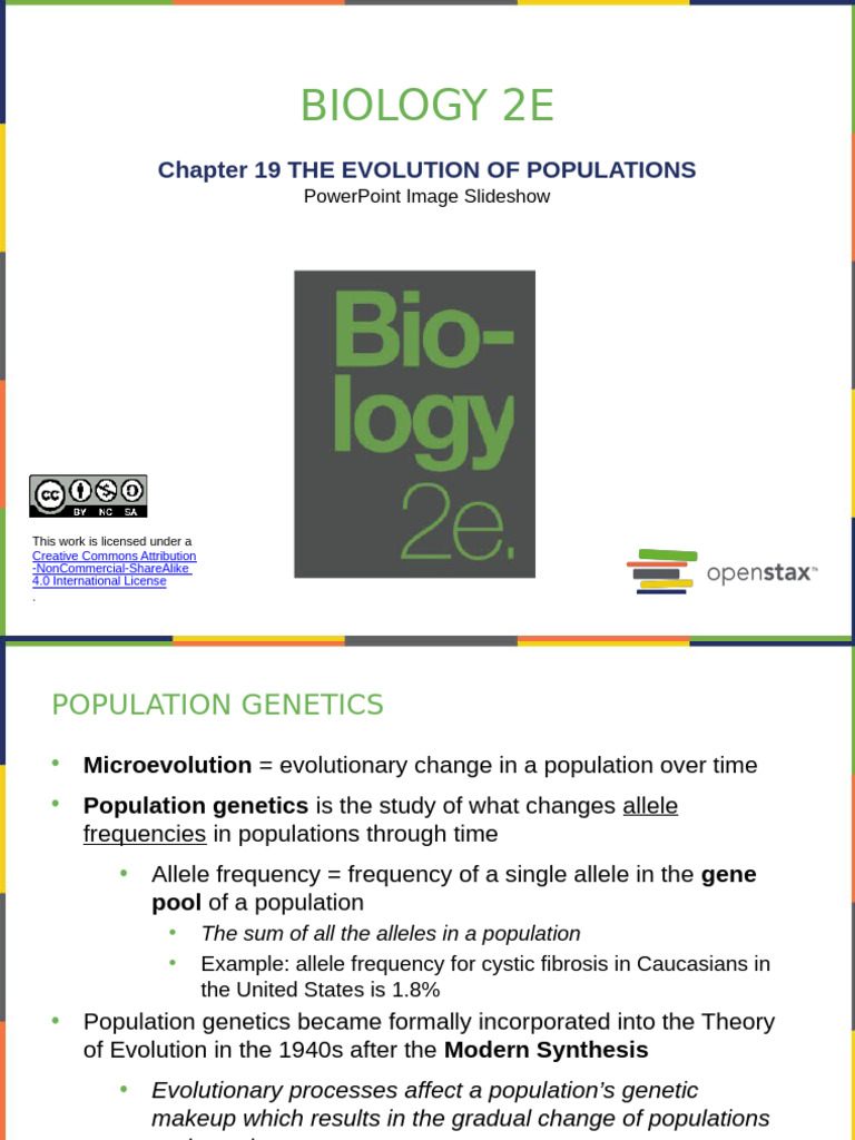 Chapter 19 Powerpoint | PDF | Natural Selection | Genetic Diversity