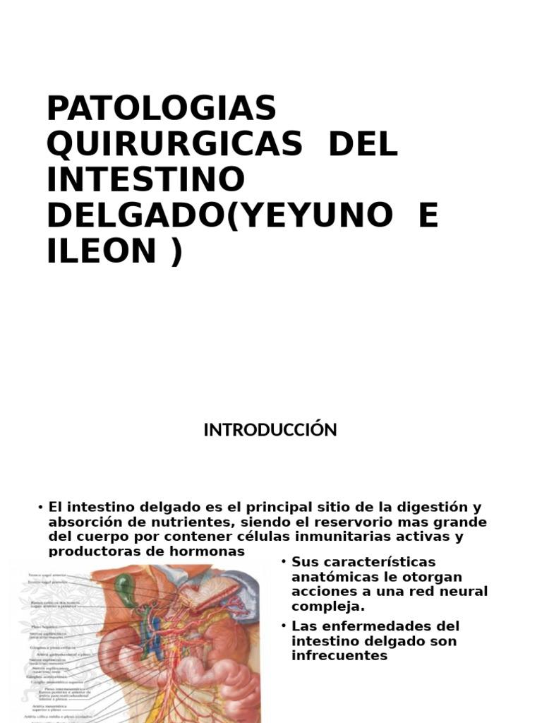 Patologias de Intestino Delgado (Yeyuno e Ileon) | PDF | Intestino ...