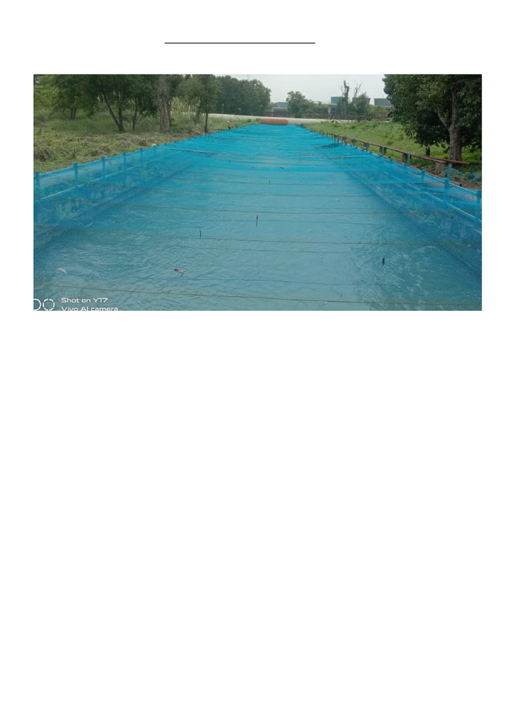 Oac Net Over CW | PDF