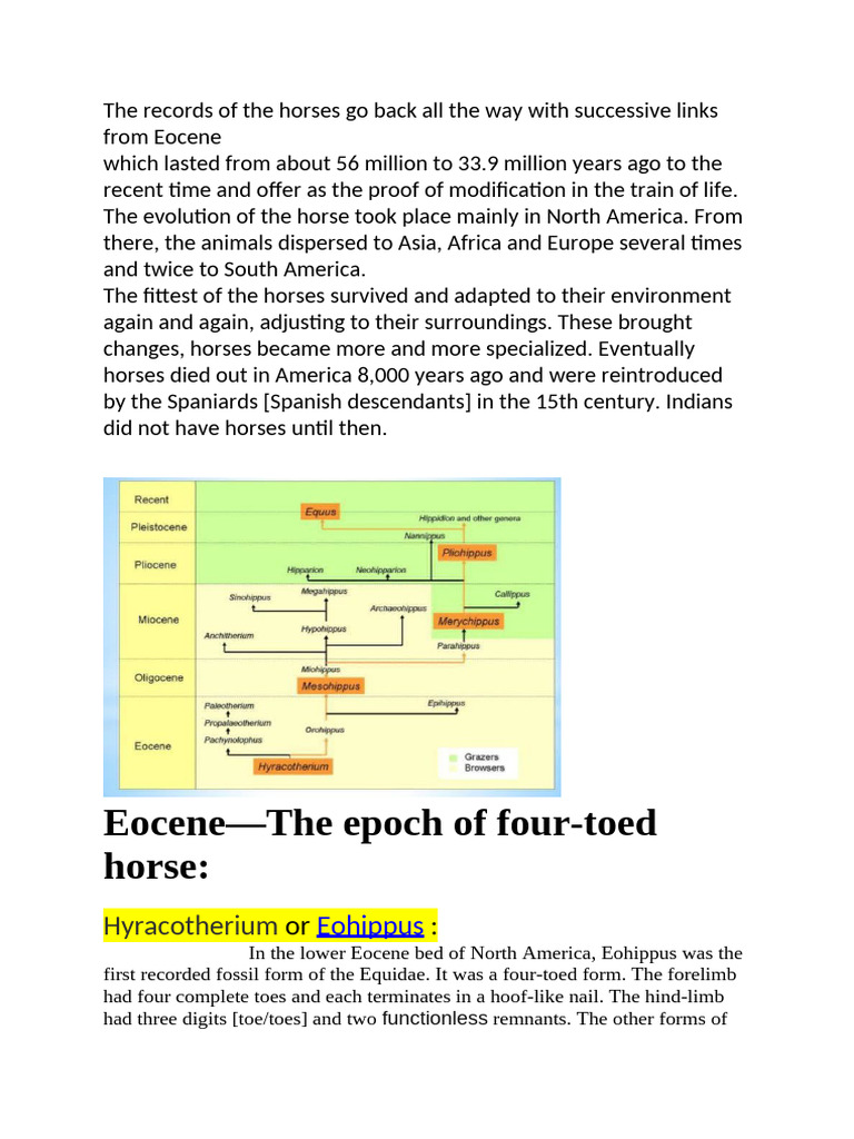 Evolutionary Phylogeny of Horses | PDF | Equus (Genus) | Horses