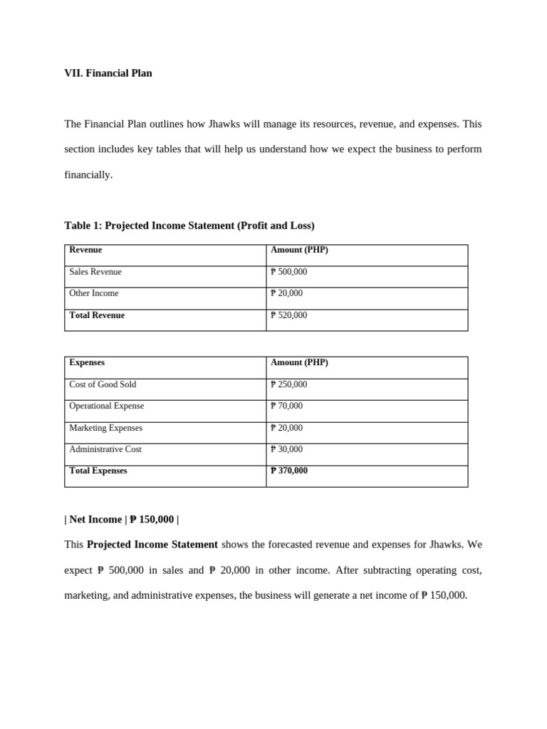 Financial Plan Example | PDF | Expense | Balance Sheet