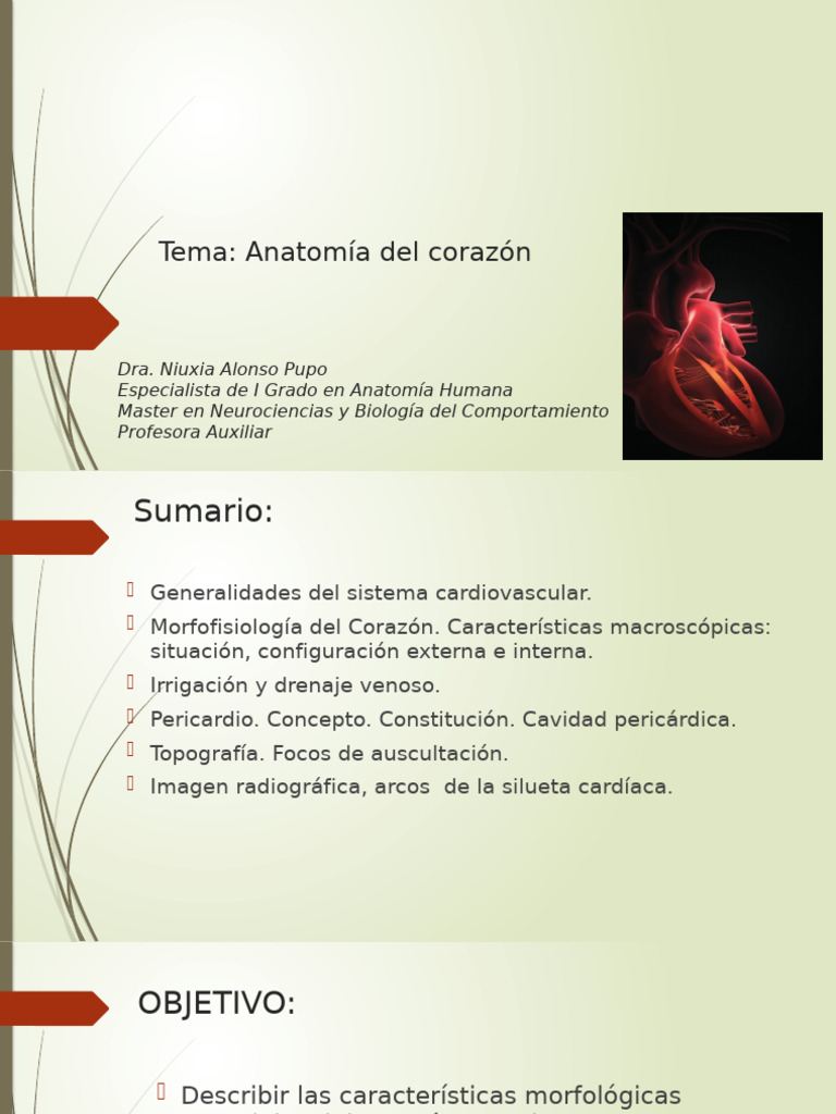 Anatomía Del Corazón | PDF | Corazón | Sistema circulatorio