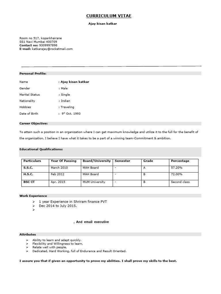 Ajjay Kattkar new CV | PDF